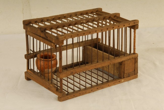 Nous disposons d'une importante collection de cages dans nos établissements